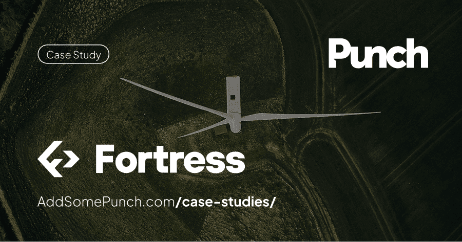 Fortress Information Security Case Study | Punch